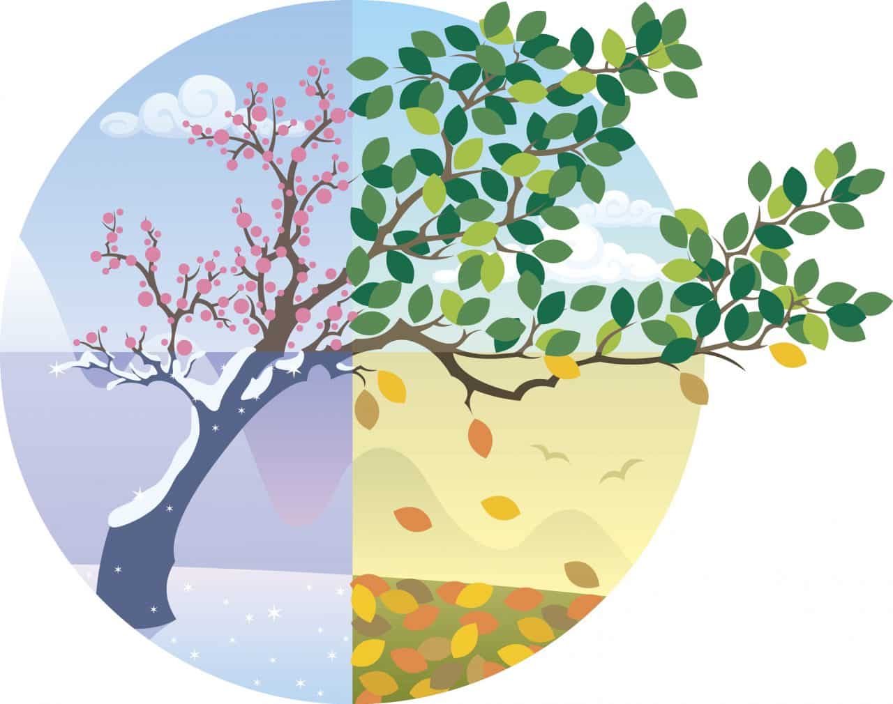 Estaciones del año para niños, ¿Cómo enseñarlas? | Plataforma Educativa ...