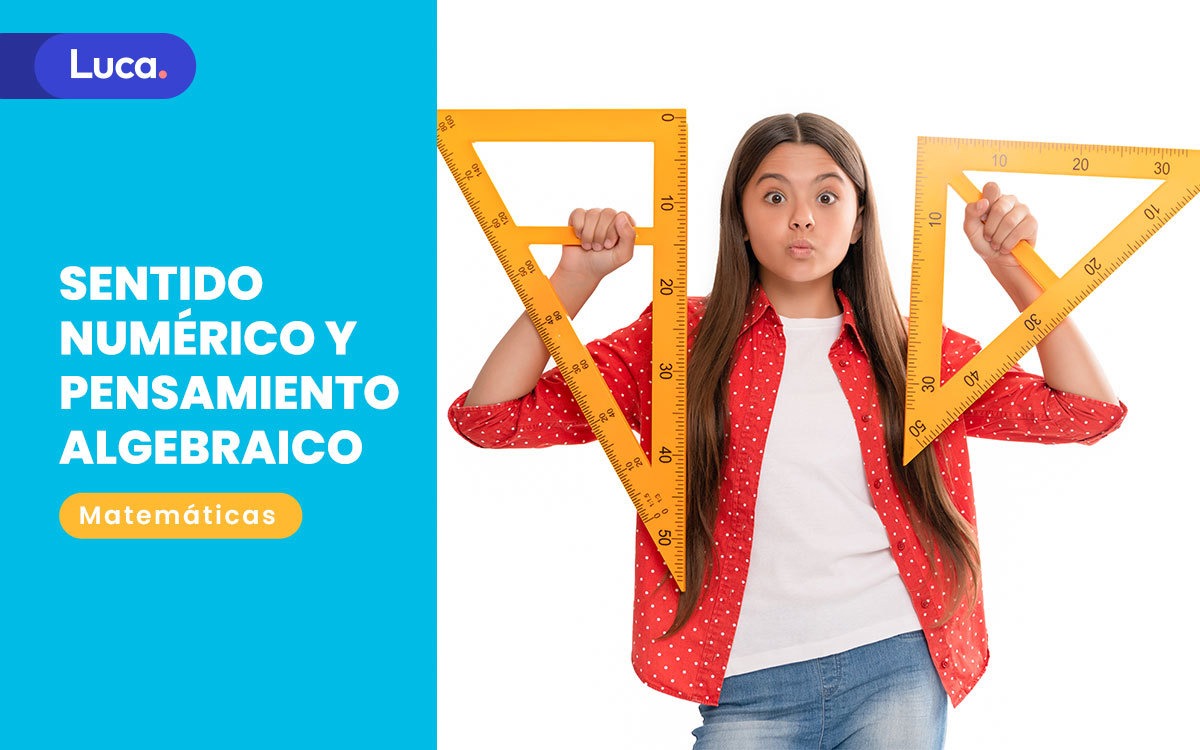 Sentido numérico y pensamiento algebraico, ¿Qué son? | Plataforma ...