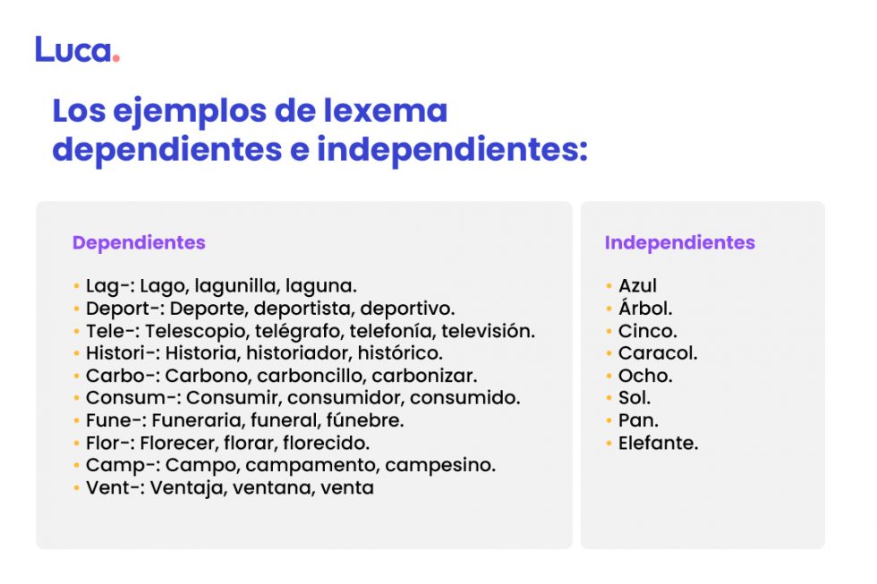 Estructura de las palabras: Facilísimo de entender | Plataforma ...