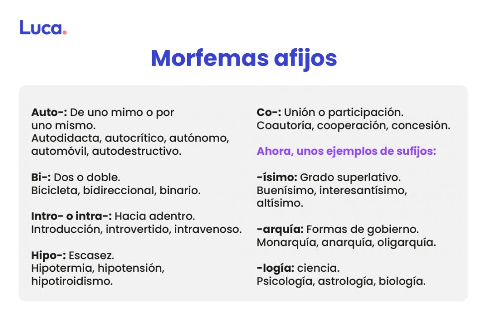 Estructura de las palabras: Facilísimo de entender | Plataforma ...