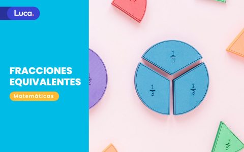 Fracciones equivalentes, ¿Qué son y cómo identificarlas? | Plataforma ...