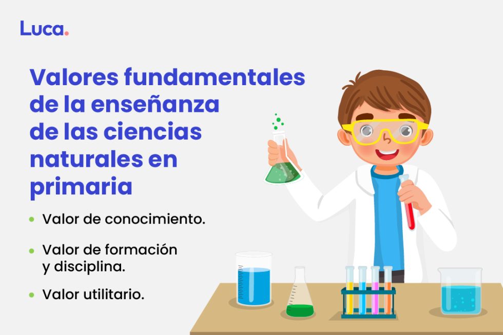 Por qué es importante enseñar ciencias naturales en primaria ...