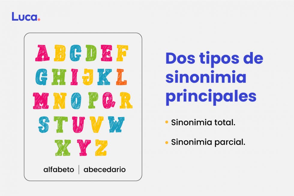 Sinónimos, ¿Qué son y para qué sirven? | Plataforma Educativa Luca