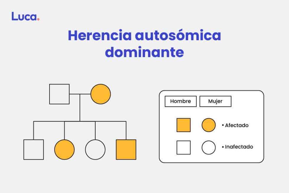 ¿Qué es la genética y cuál es su importancia? | Plataforma Educativa Luca