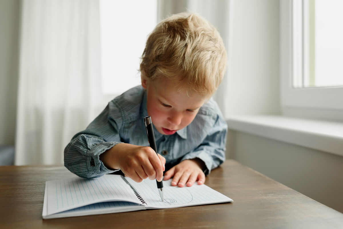 ¿Qué es la homonimia y cuáles son los tipos de palabras homónimas que ...