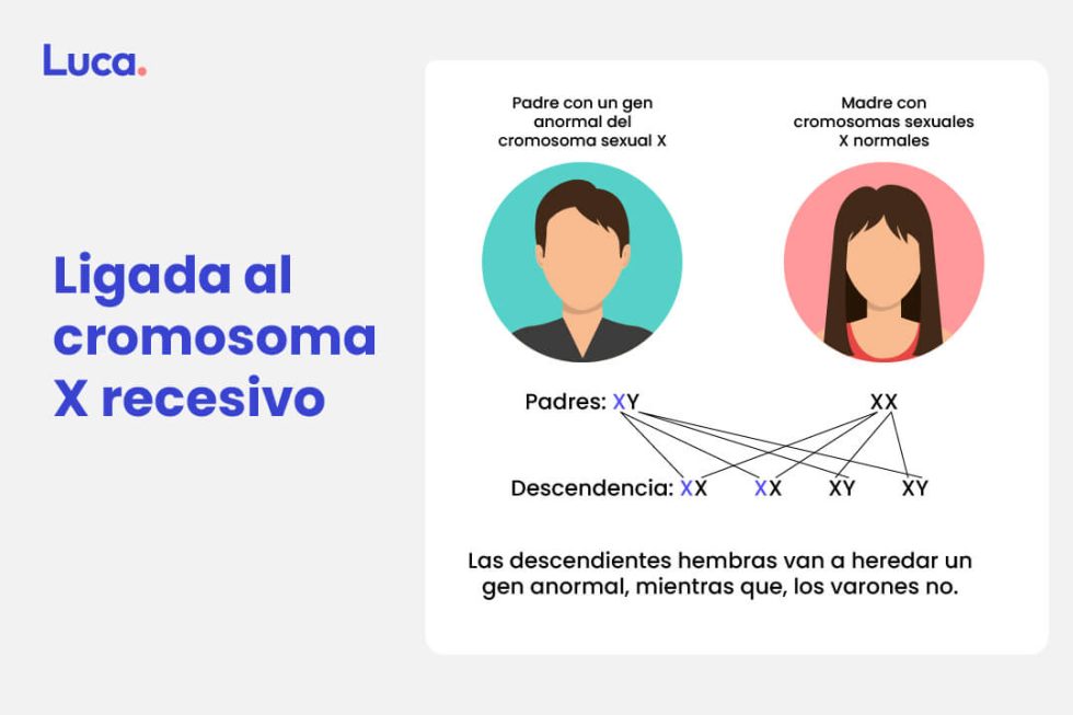 ¿Qué es la genética y cuál es su importancia? | Plataforma Educativa Luca