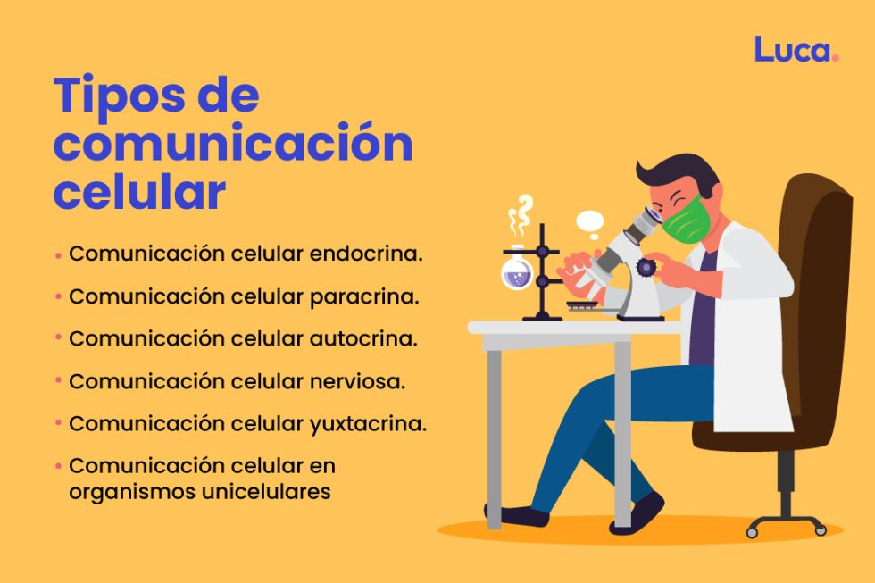 Comunicación celular y su importancia | Plataforma Educativa Luca