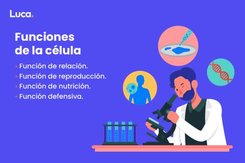 La célula: La estructura fundamental para los seres vivos | Plataforma ...