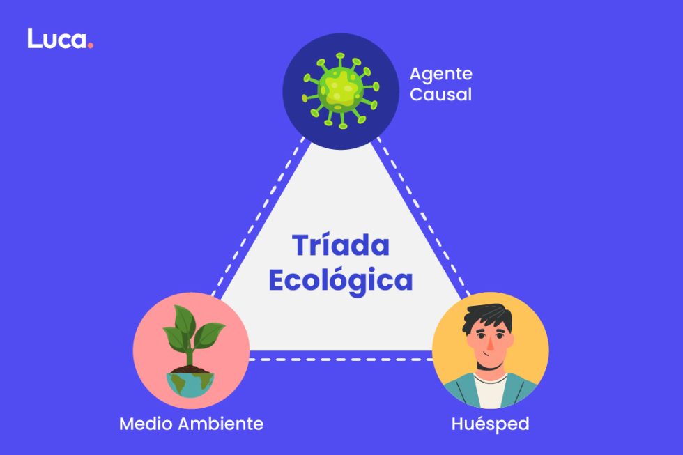 Triada ecológica y el desarrollo de enfermedades Triada ecológica y el desarrollo de enfermedades