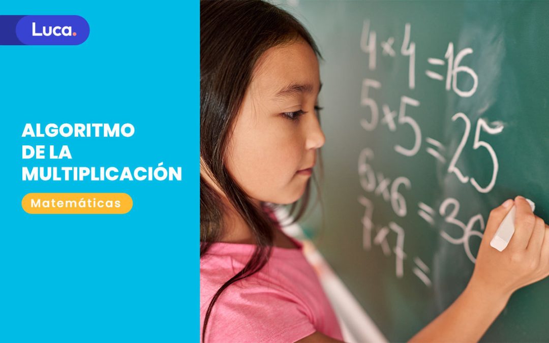 Cómo se clasifican los números reales | Plataforma Educativa Luca