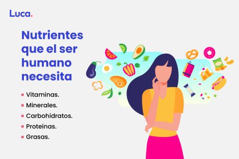 Alimentación y nutrición: Claves para la vida saludable | Plataforma ...