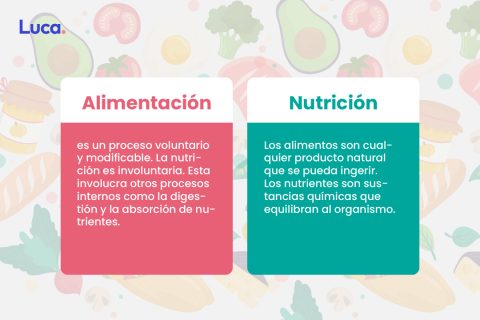 Alimentación y nutrición: Claves para la vida saludable | Plataforma Educativa Luca