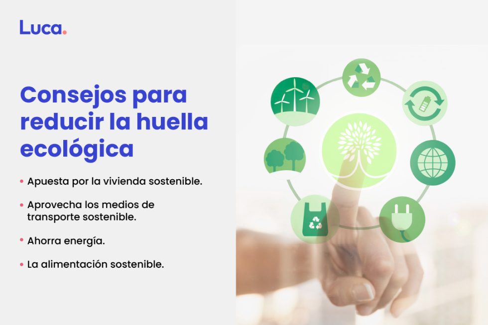 Huella ecológica y el impacto ambiental | Plataforma Educativa Luca