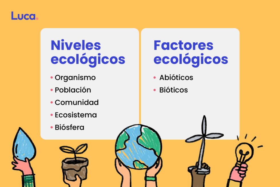 La ecología y el cómo nos relacionamos con el entorno | Plataforma ...